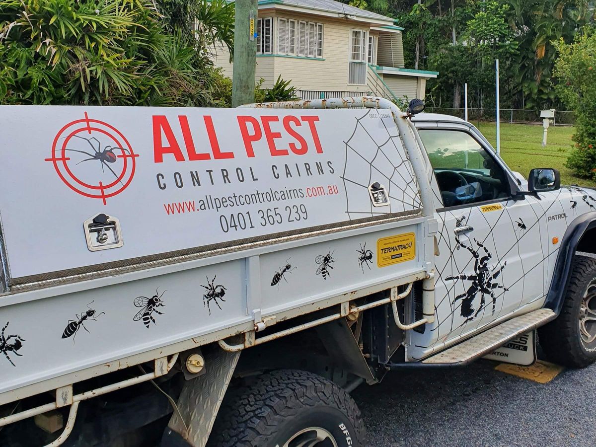 Pest control Cairns | All Pest Control Cairns