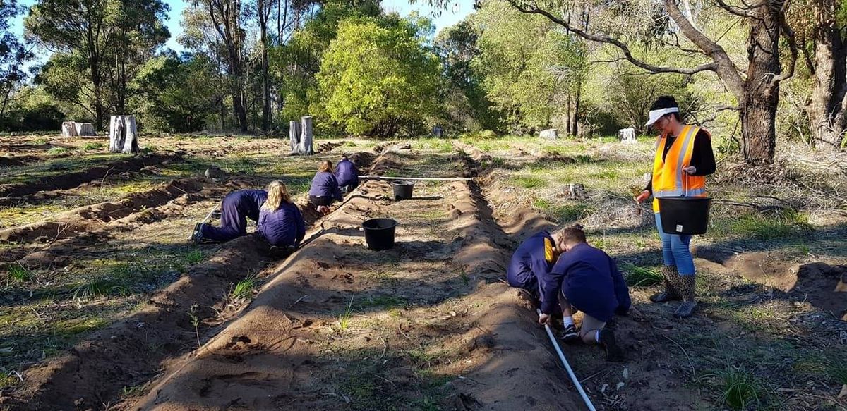 How to make a Tuart forest