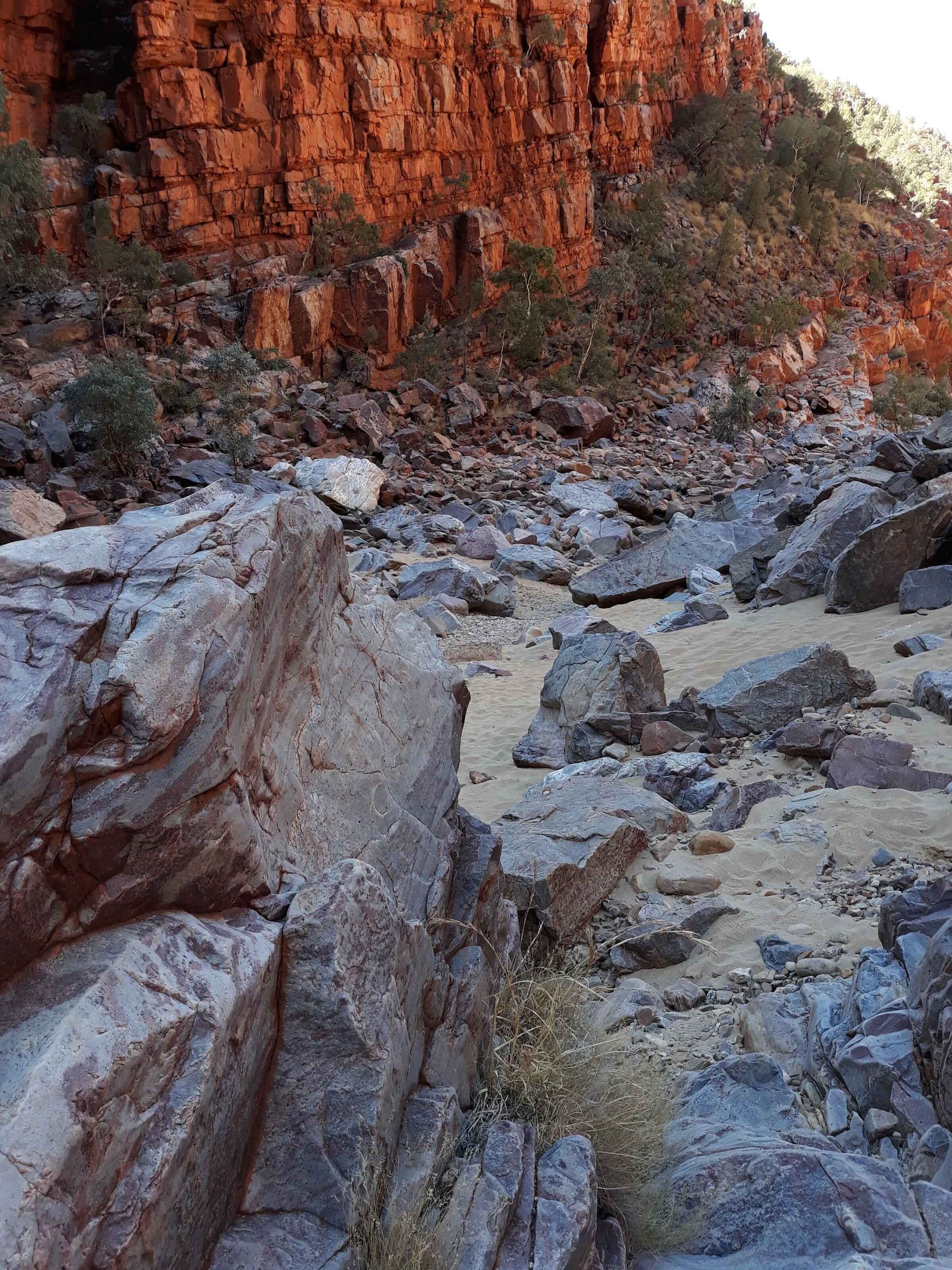 EXPERTS FOR ERC, DFH, SNSF, NWO GRANT PROPOSALS & INTERVIEWS | Whitehorne Scientific Consulting