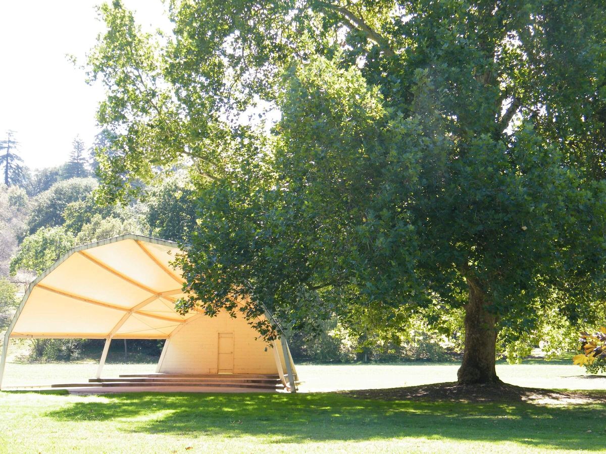 National Trust Trees