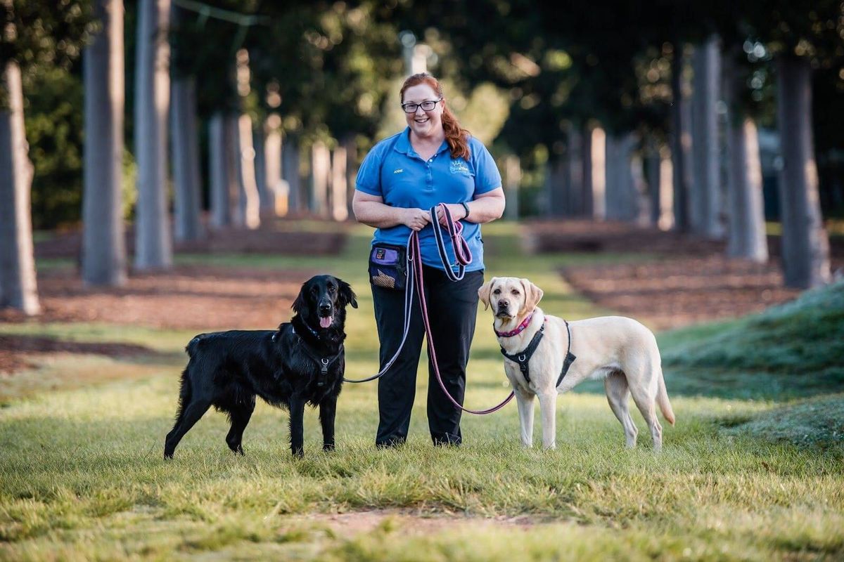 About | Pawsitive Connection