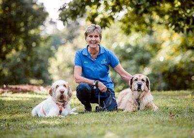 Contact | Pawsitive Connection